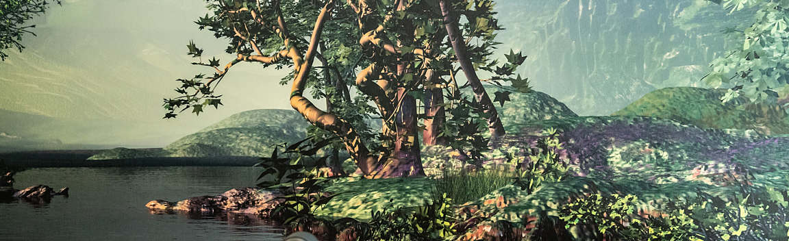 What is a HVLA manipulation and why do… | Canterbury Health Hub